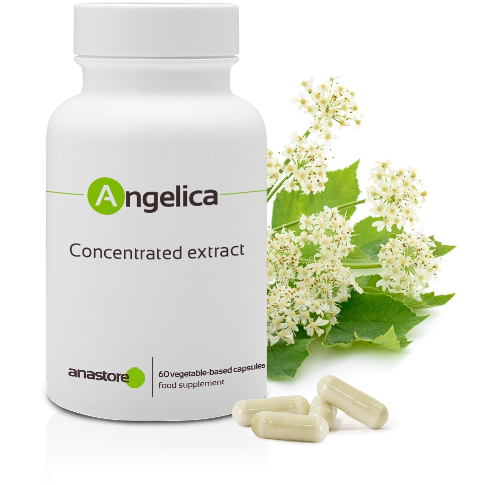 Buy angelica: the herb of the angels