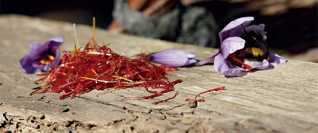 Organic saffron in capsules Plantae®. Food supplement with pure saffron ...