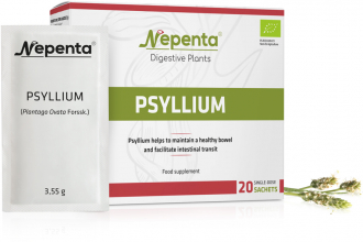 Psyllium for Constipation: Benefits and Properties of Plantago ovata