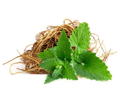 Lemon balm with Valerian, natural aid for sleep disorders