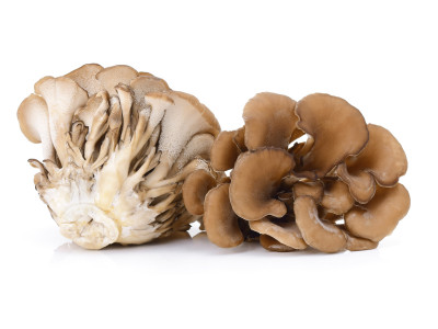 Organic Maitake (Grifola frondosa) | Anastore
