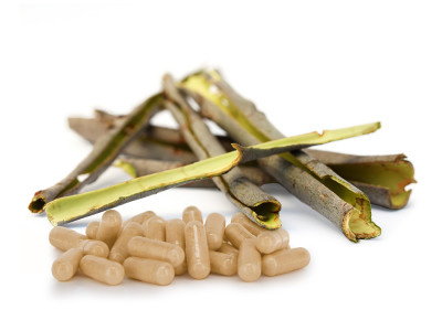 Buy White Willow in capsules | Anastore
